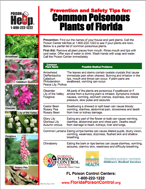 Educational Materials - Florida's Poison Control Centers